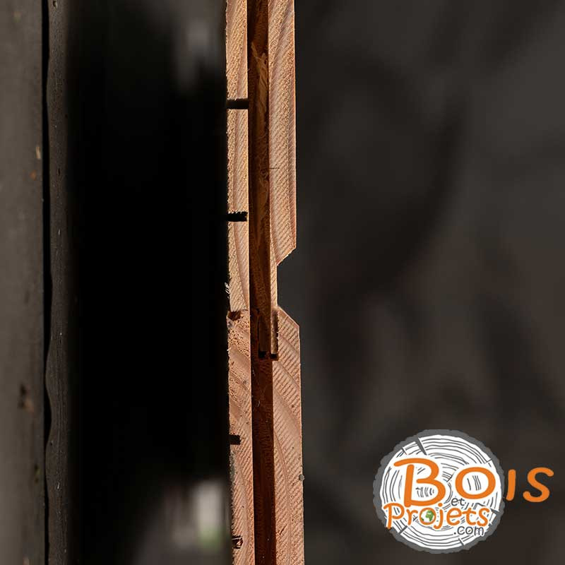 Bardage Douglas SELECT profil Elégie 21 x 135 mm_Bois-projets.com